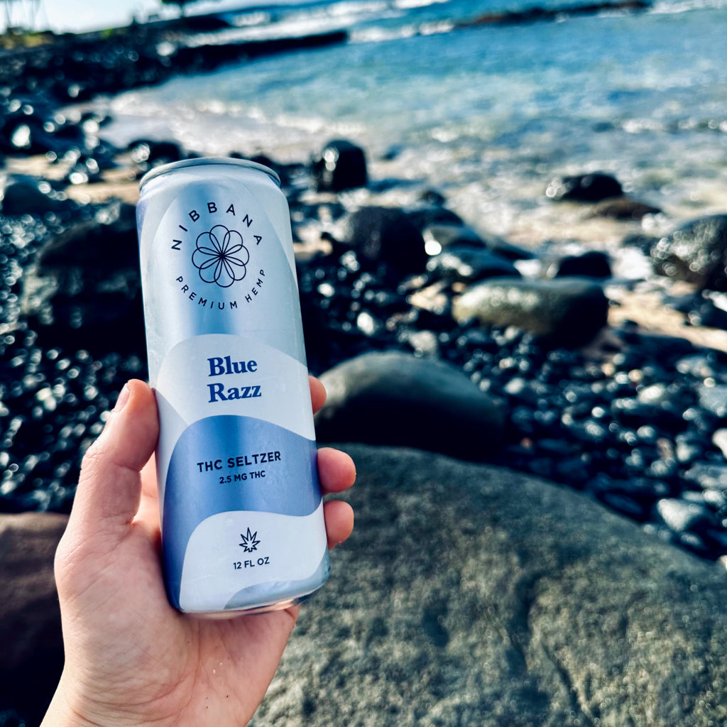 Blue Razz THC Seltzer 4-Pack | Microdose Delta-9 Drink | Nibbana